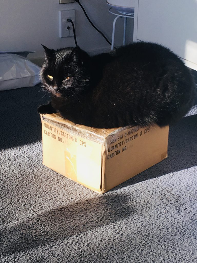 Under The Grater Q&A - Jax Hamilton